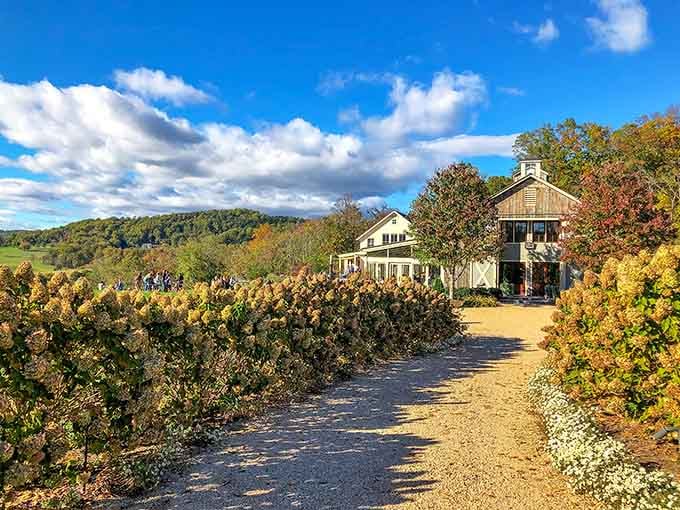 That pathway through autumn vines leads exactly where you think it does: happiness.
