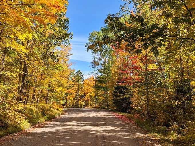 Fall colors that make you understand why people write poetry about trees and changing seasons.