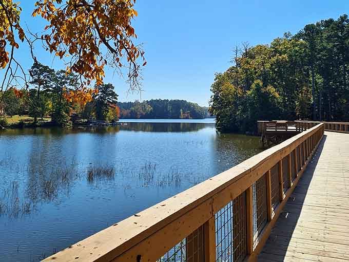 This boardwalk leads to lake views that'll make you forget you're still technically within cell phone range of civilization.