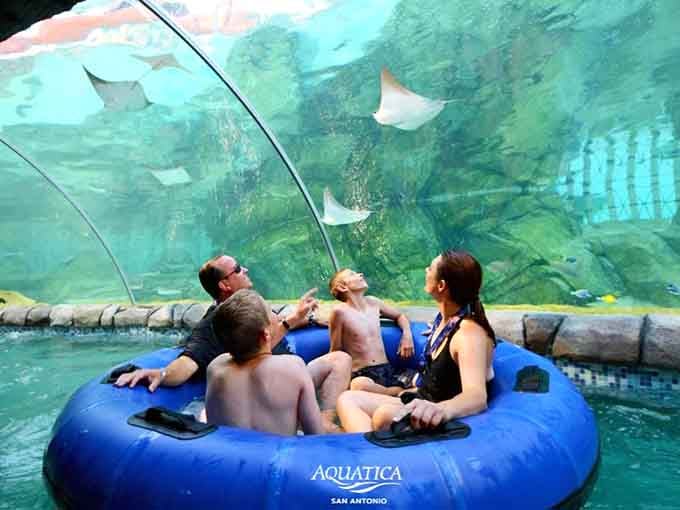 Nothing says "living your best life" like floating through an aquarium while fish judge your swimming form.