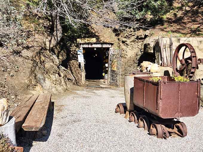 A humble entrance carved into the hillside, where 1870s miners began their daily descent into uncertainty and ambition.