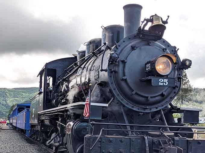 This magnificent steam locomotive looks ready to transport you straight back to the golden age of rail travel.