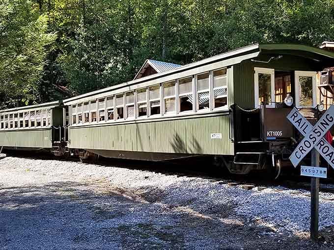 That green locomotive isn't just pretty – it's your ticket to three hours of pure mountain magic.
