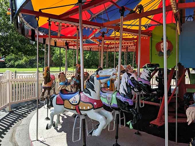 Those hand-painted carousel horses spinning under rainbow canopies create pure magic that smartphones can't capture but hearts remember forever.