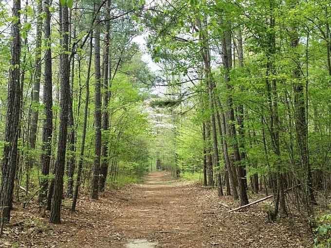 This path has witnessed more history than any textbook, and it's still writing new chapters.