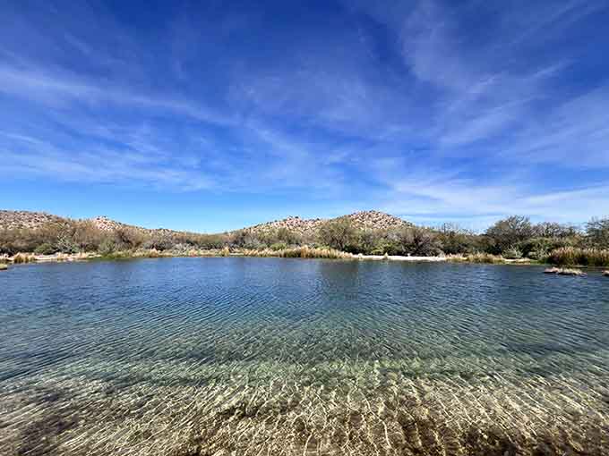 When the desert decides to show off its water feature, you get this stunning oasis that looks photoshopped but isn't.