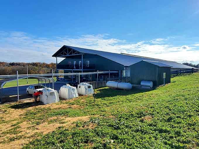 That blue barn isn't just pretty&mdash;it's where Kentucky's award-winning cheese dreams come true every single day.