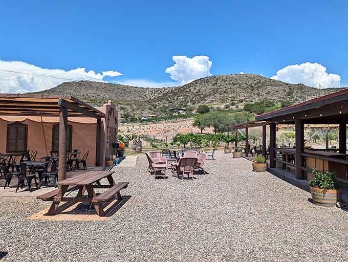 Desert mountains meet vineyard dreams at this Cornville gem where Arizona wine country finally gets its moment.