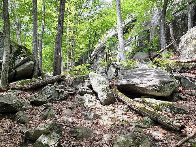 Mother Nature's reward program: climb rocks, receive panoramic views that'll make your Instagram followers jealous.