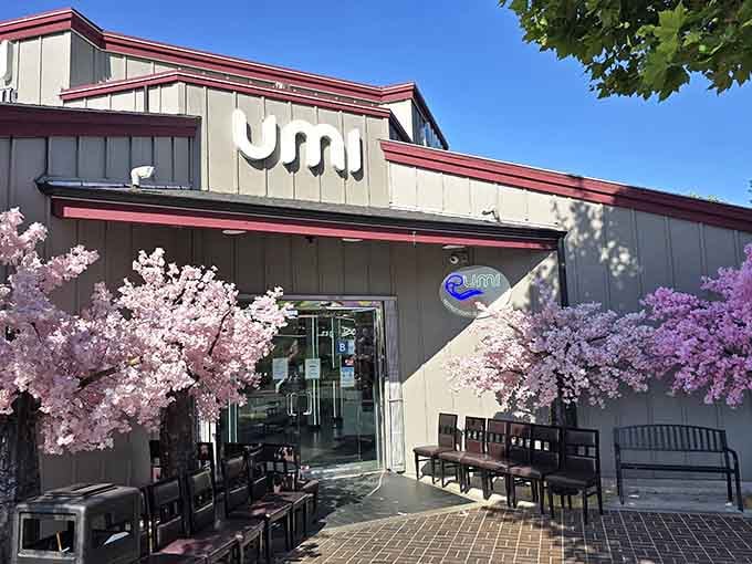 Those cherry blossoms framing the entrance aren't just pretty, they're your first hint that something special awaits inside.