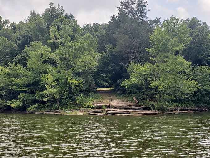Lush forest meets pristine lake water, creating the kind of peaceful scene that makes city stress evaporate instantly.