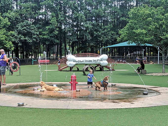 The splash pad area keeps pups cool during hot Georgia days while kids and dogs alike enjoy the refreshing water features together.