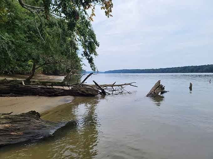 When the water's this calm and inviting, you'll understand why locals guard this secret so fiercely.