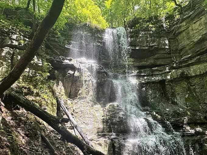 Backlit by sunshine, the falls shimmer like liquid silver against ancient rock walls in this hidden sanctuary.