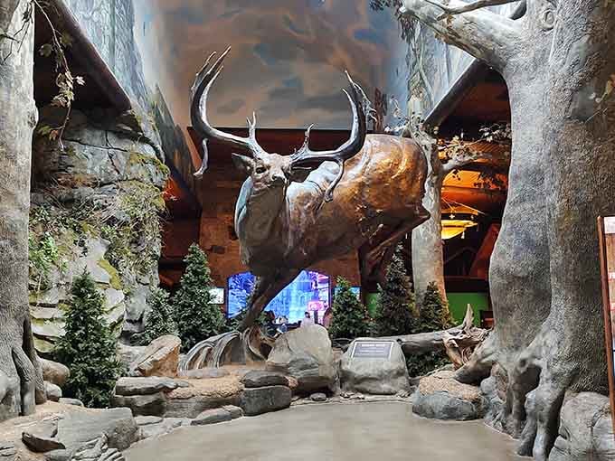 These lifelike displays transport you into the heart of nature, showcasing magnificent wildlife in beautifully crafted, immersive forest settings.
