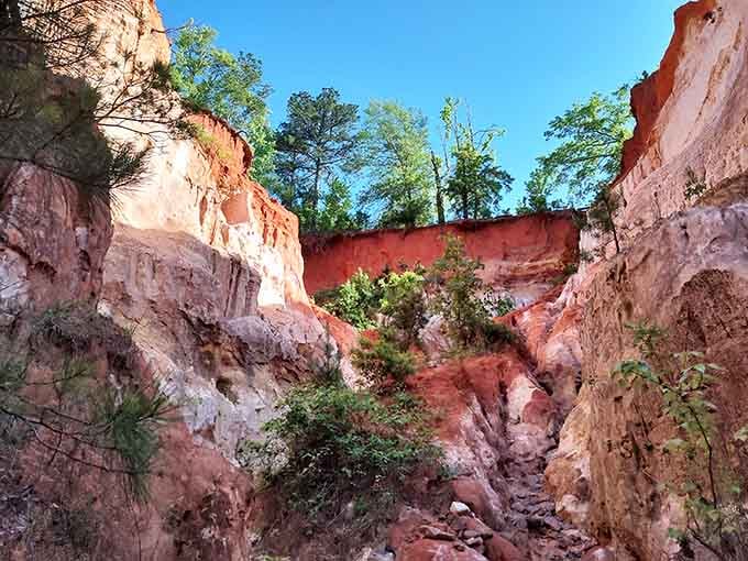 When erosion creates a masterpiece: layers of rust, rose, and terra cotta that'd make any painter jealous.