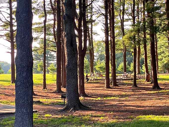 These winding trails through Seneca Creek's forests are where nature shows off year-round, no admission required.