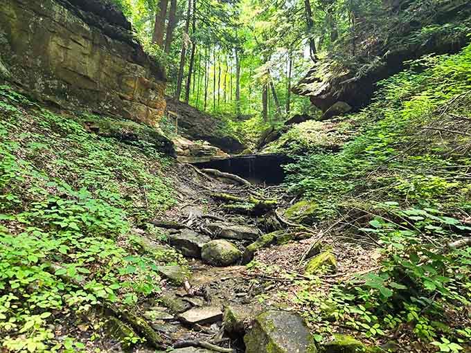When Indiana decides to do canyons, it doesn't mess around with half measures or apologies.