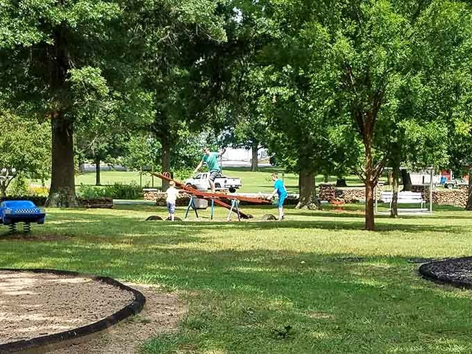 Under this canopy of green, time slows down and suddenly a lazy afternoon feels like the best plan you've ever made.