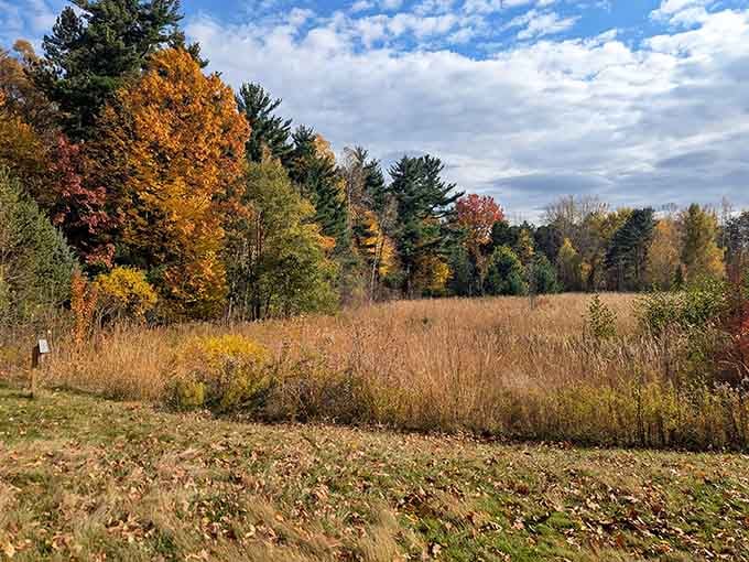 Fall in Pennsylvania doesn't mess around, turning ordinary meadows into nature's own masterpiece worthy of a museum wall.