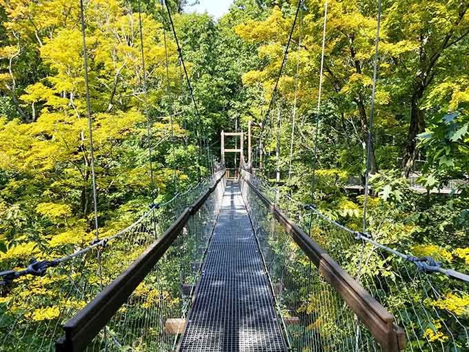 The suspended canopy walk stretches through brilliant yellow-green foliage, offering an unforgettable perspective of Ohio's forest from high above the ground.