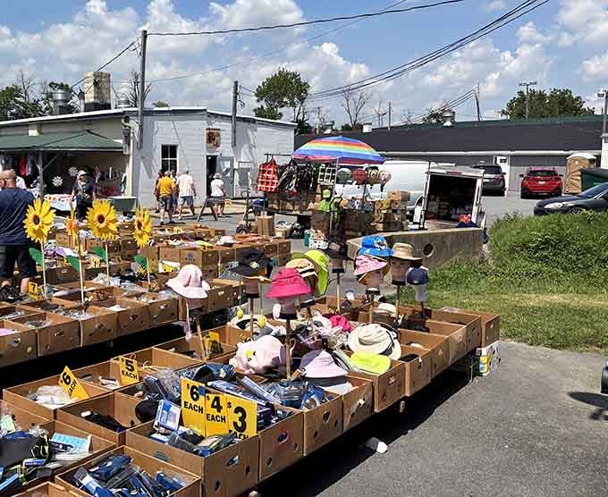 Bargain bins overflow with hats, sunflowers, and random treasures where three dollars buys you unexpected joy and confusion.
