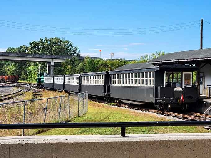 Vintage coaches lined up at the depot, ready to transport you back to when travel meant something more than airport security lines.