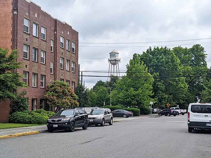 That water tower standing sentinel over brick buildings tells you everything: this is a real town with real character and real charm.