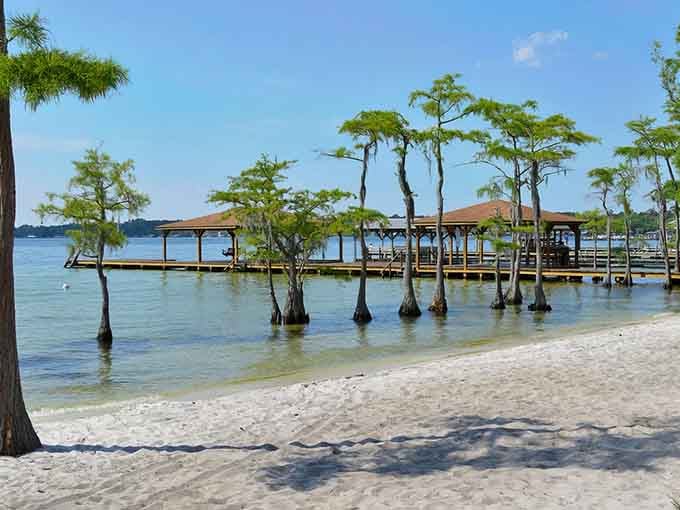 Those cypress trees standing in crystal-clear water create a scene so stunning you'll swear someone's editing your reality.
