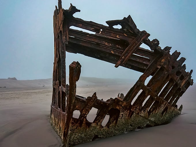 The Peter Iredale's rusted skeleton emerges from the sand like a time traveler who missed their stop by about 118 years.