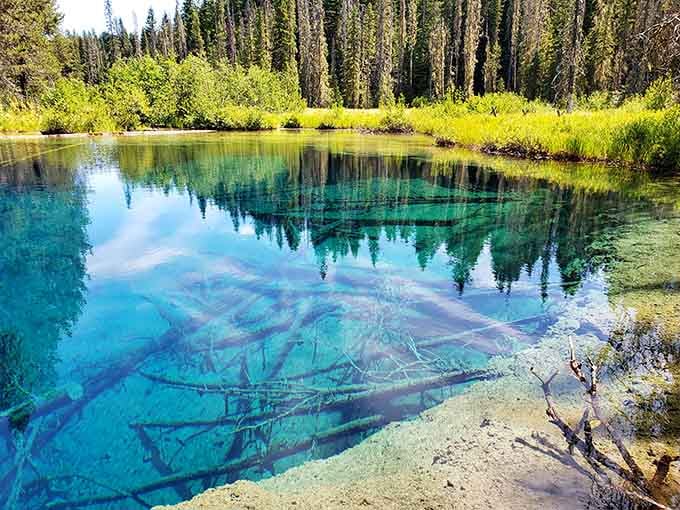 That blue is so vivid, you'll wonder if someone accidentally dropped food coloring in nature's punch bowl.