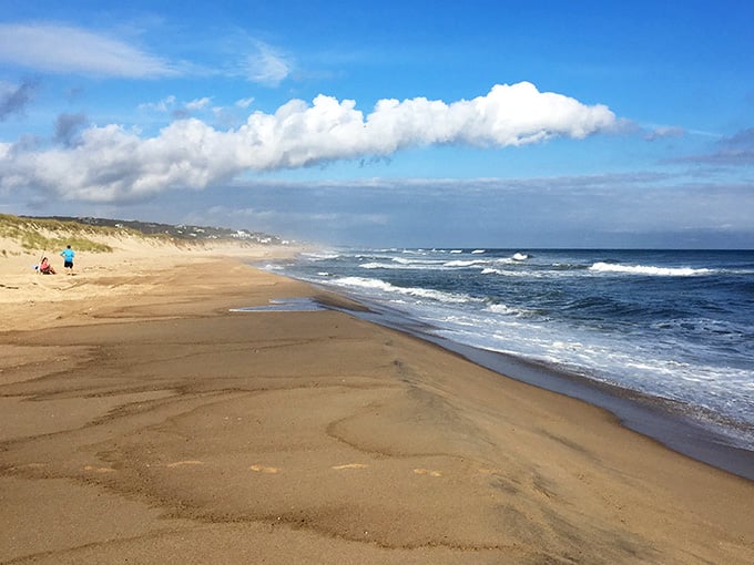 That pristine shoreline stretching into the distance proves paradise doesn't require a passport or tropical coordinates.