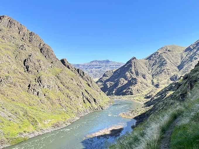 The Snake River carved this masterpiece over millions of years, proving patience really does pay off spectacularly.