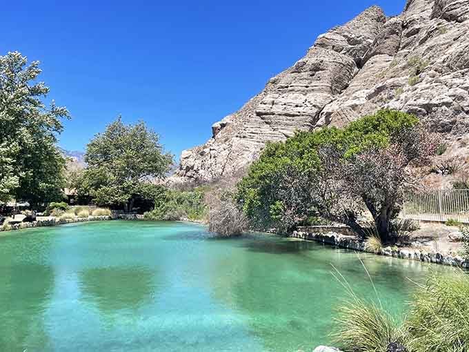 Water this clear in the desert feels like finding air conditioning in 1955, pure magic.