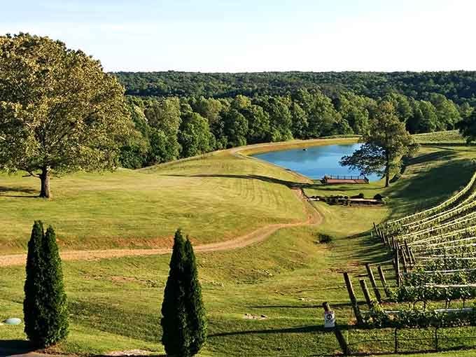 That landscape isn't a mirage; it's your new favorite escape hiding in the South Carolina foothills.