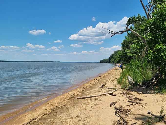 Sandy beaches along the Potomac where you can actually spread out without someone's beach umbrella invading your personal space.