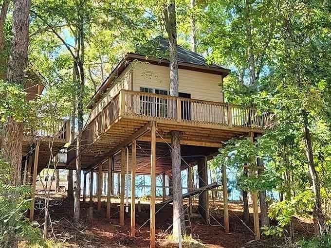 Your childhood treehouse dreams just got a serious upgrade, complete with actual structural integrity and everything.