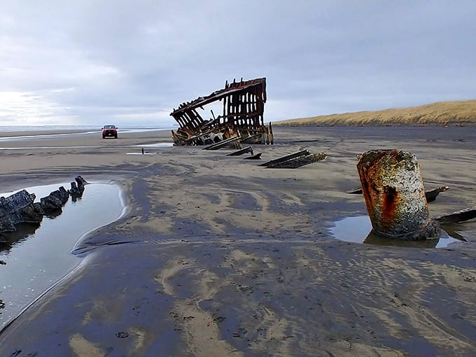 The Peter Iredale's rusted skeleton emerges from the sand like a time traveler who missed their stop by about 118 years.
