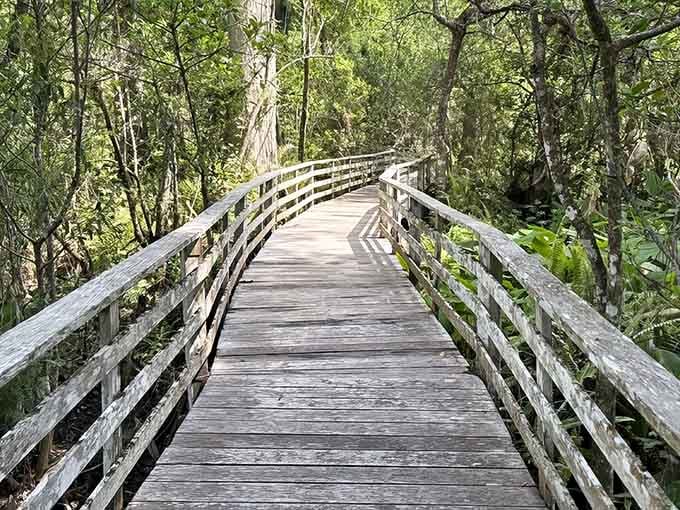 The boardwalk stretches ahead like nature's red carpet, inviting you into a world that predates shopping malls.