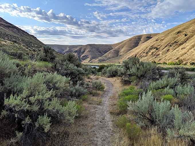 The canyon unfolds like nature's own masterpiece, golden hills meeting blue sky in perfect harmony.