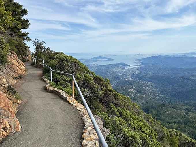 The paved Verna Dunshee Trail offers accessible hiking with stunning panoramic views stretching across the entire Bay Area below you.