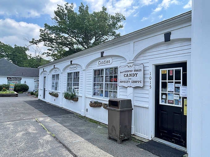 That classic New England exterior isn&rsquo;t just for looks&mdash;it hints at the treasure hunt waiting inside.