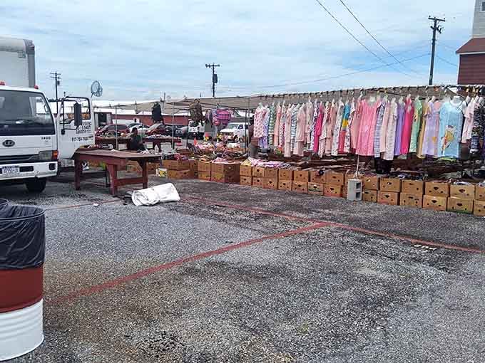 Outdoor treasure hunting at its finest, where climate control meets the thrill of finding something unexpectedly perfect.