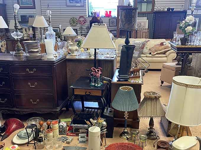 This treasure trove stretches as far as the eye can see, packed with possibilities for every room.