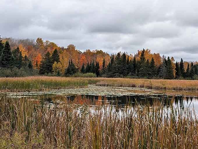 Mother Nature showing off her fall wardrobe with burnt oranges and golden yellows reflected in still waters.