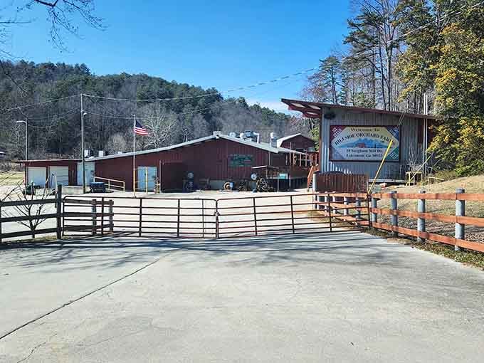 Classic red barn charm meets mountain agriculture at this North Georgia treasure worth discovering year-round.