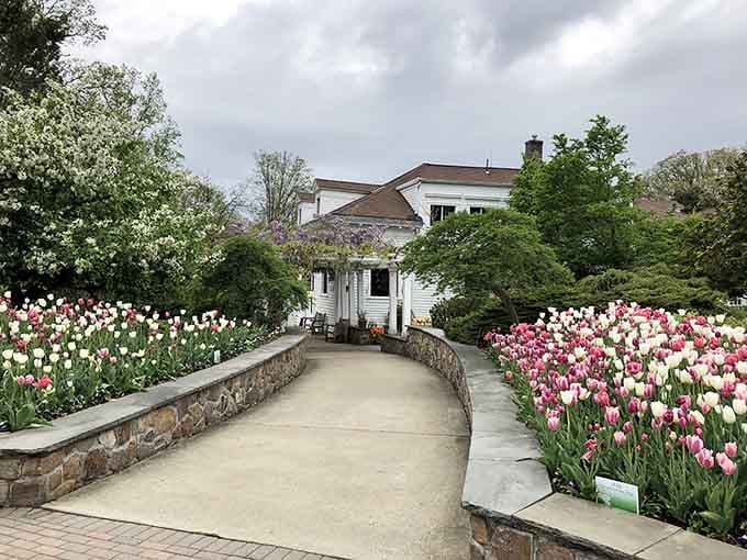 Spring tulips line the pathway to the historic mansion, proving that New Jersey knows how to put on a colorful show.