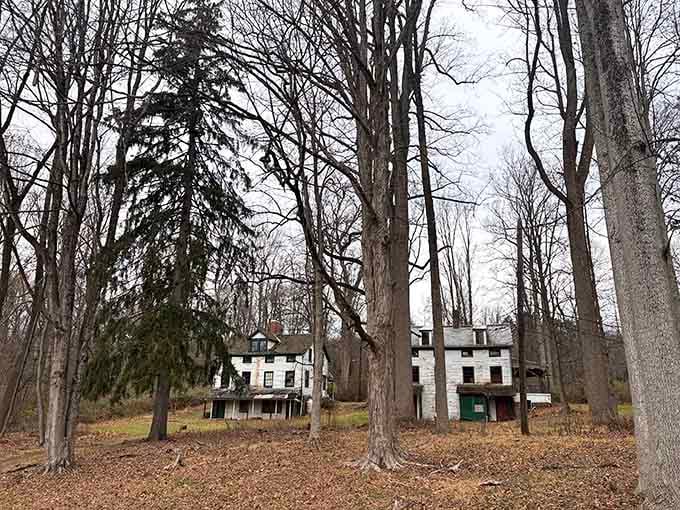 Twin structures standing side by side, proving that even in abandonment, nobody wants to be completely alone.
