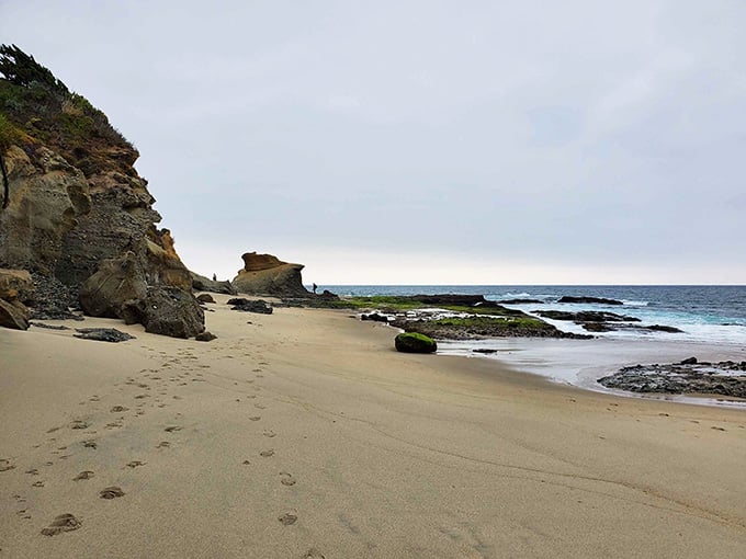 When the tide reveals these moss-covered rocks and hidden coves, you'll feel like you've stumbled onto your own private California postcard.