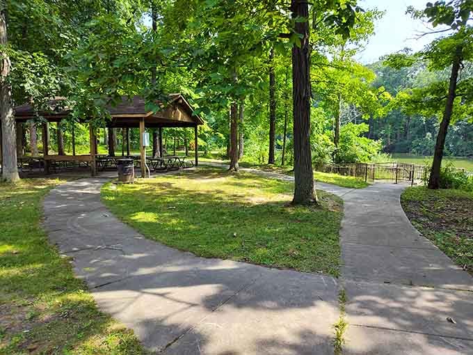 These paved paths mean everyone gets to enjoy the view without needing hiking boots or a compass.